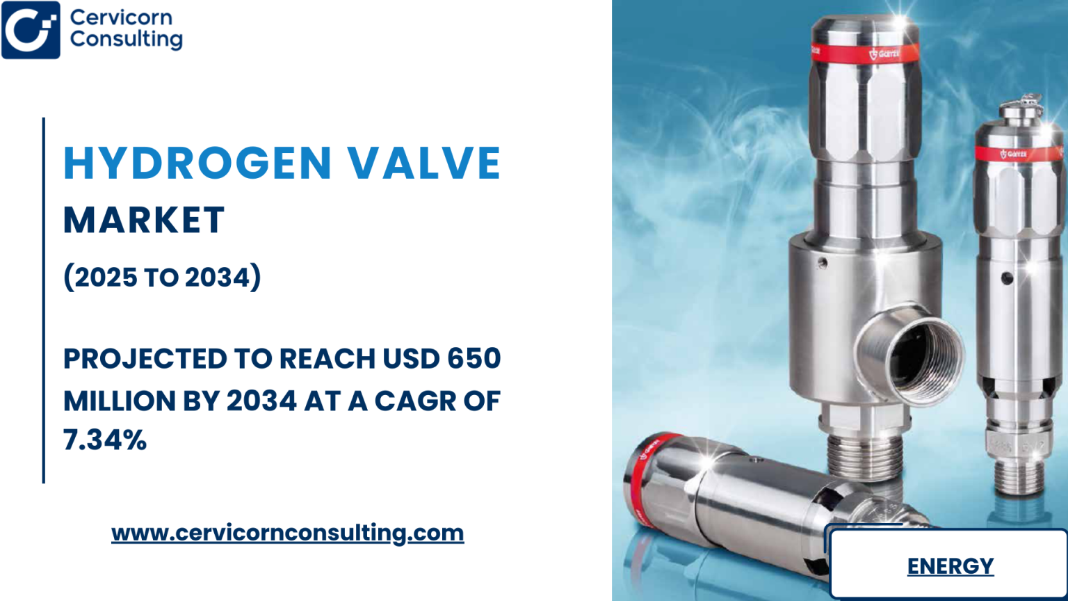 Hydrogen Valve Market Growth Report | 2025-2034 - ANALYSIS SPHERE